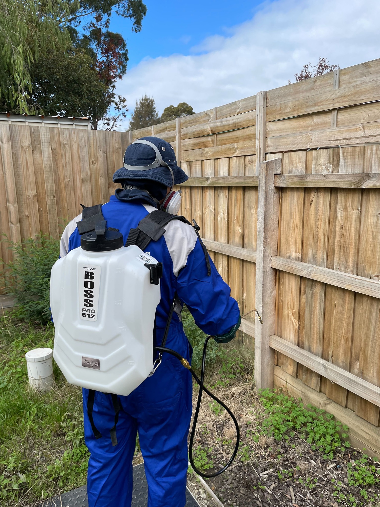 Expert Pest Control Services