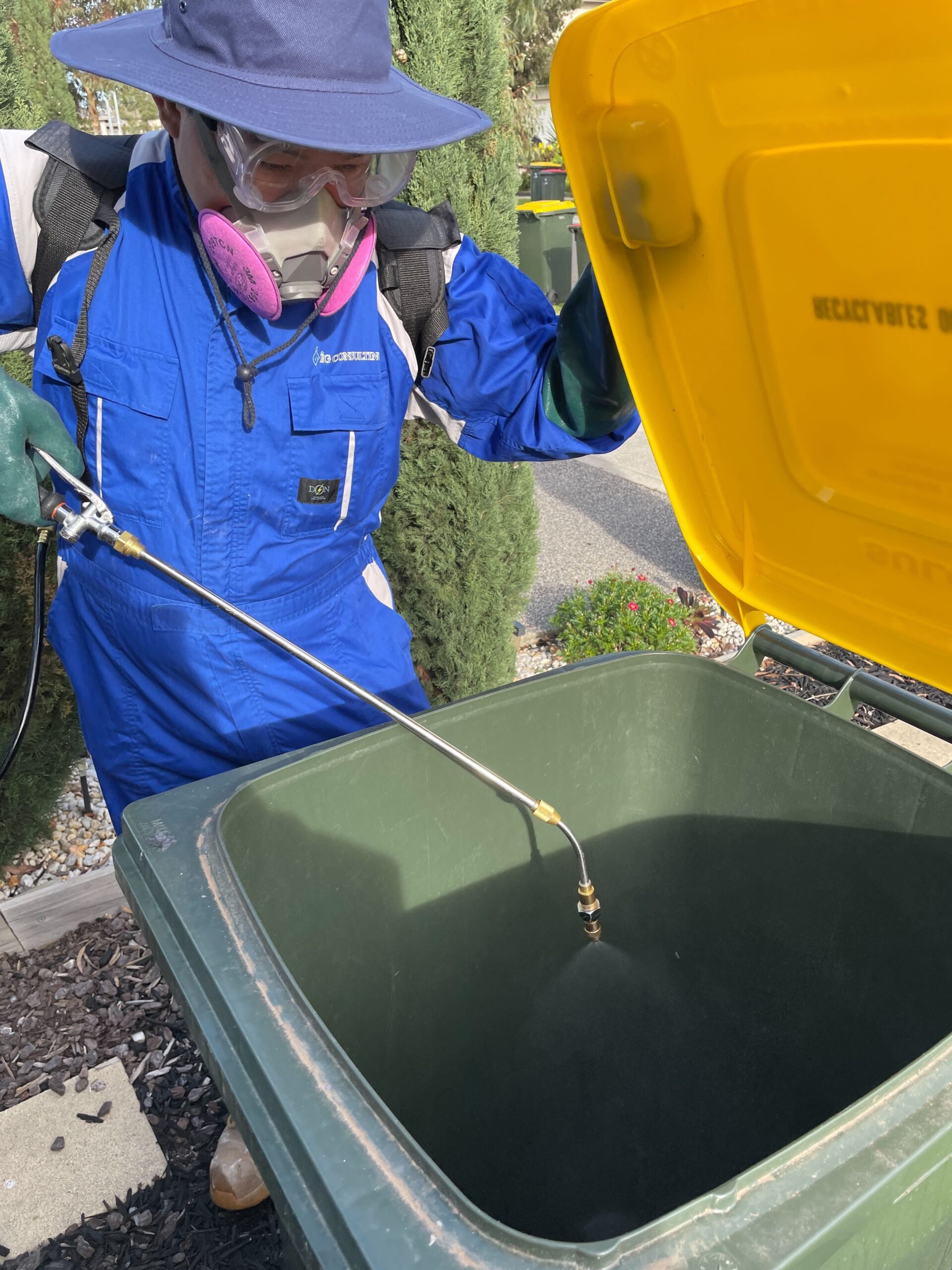 Expert Pest Control Services